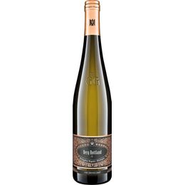 weingut wegeler oestrich Berg Rottland GG Riesling 2023 - Rheingau &ndash; Wei&szlig;wein VDP.Gro&szlig;es Gew&auml;chs