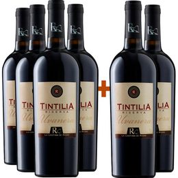 La Cantina di Remo 4+2 Paket Tintillia Riserva Molise Tintilia 2016 Trocken - &ndash; Probierpaket DOC