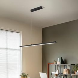 Fabas Luce Ling Pendelleuchte LED Up & Down, 3712-45-101,