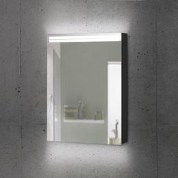 Schneider ARANGA Spiegelschrank, 1 T&uuml;r, 160.451.01.41, ARA 50/1/TW/L