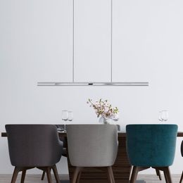 Elements by Bankamp BEN Pendelleuchte, LED, 20646/2-92,