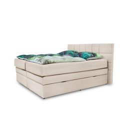 SONSTIGE Boxspringbett AYDA