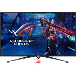 ASUS Gaming-Monitor »XG438QR« 109 cm/43 3840 x 2160 px 4 Reaktionszeit 120 Hz schwarz