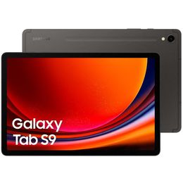 Samsung Galaxy Tab S9 256GB - Grau - WLAN
