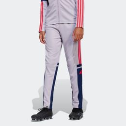 Trainingshose adidas Performance "SQ25 TR PNT Y", Jungen, Gr. 152, N-Gr, glory grau, team navy blau 2, pure ruby, Obermaterial: 100% Polyester, Hosen