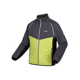 Regatta Softshelljacke Steren Hybrid in Lime | Gr.: XL