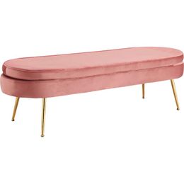 Salesfever Polsterbank &raquo;Clam Elegante Bank mit Polsterung&laquo; Eleganz in Gold: Breite 142cm rosa Metall, Polyester