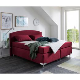 Westfalia Schlafkomfort Boxspringbett »Amsterdam in den Breiten 160x200, 180x200cm & 200x200cm« Optional mit Topper Bordeaux-Rot