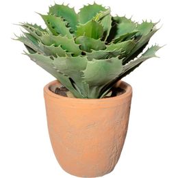 Creativ green Künstliche Zimmerpflanze »Echeveria im Terracottatopf« grün Obermaterial: 100% Polyethylen