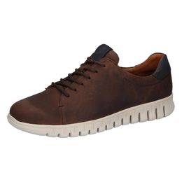Waldläufer WALDLÄUFER Sneaker »H-Baldo«, Schnürschuh, Freizeitschuh mit proaktiv-Lederinnensohle, H-Weite dunkelbraun-dunkelblau 12 (47) 12 (47) Sneaker in...