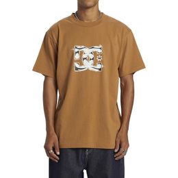 DC Shoes T-Shirt »DC Star Classic« Chipmunk XXL XXL Kollektion: Lineguide-Kollektion