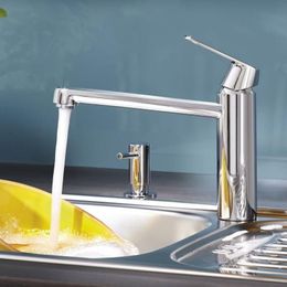 Grohe Eurosmart Cosmopolitan Küchenarmatur, schwenkbar, 30193000,