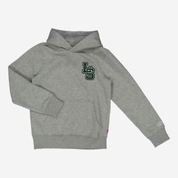 Levi's Grauer Kapuzenpullover mit Logo-Details