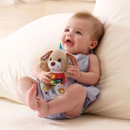 Vtech Baby Mehrfarbiges Melodienhündchen-Spielzeug
