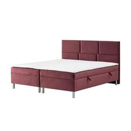 H&ouml;ffner Boxbett mit Bettkasten Adria &brvbar; rot &brvbar; Ma&szlig;e (cm): B: 160 H: 110 &raquo; H&ouml;ffner