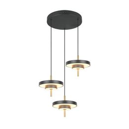 Trio Leuchten Keaton Pendelleuchte, LED, 340230380,