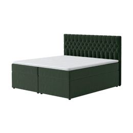 M&ouml;bel Kraft Boxbett mit Bettkasten gr&uuml;n Ma&szlig;e (cm): B: 160 H: 125 &raquo; M&ouml;bel Kraft