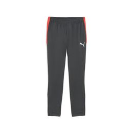 Puma Workout Pants 'Individual LIGA' male Grey size XS