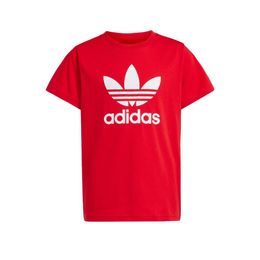 adidas originals T-Shirt 'Adicolor Trefoil' Jungen Größe 164 knallrot / weiß
