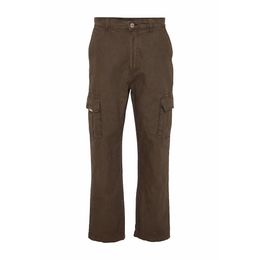 Pegador Cargo Pants 'Waymir' male Brown size 29