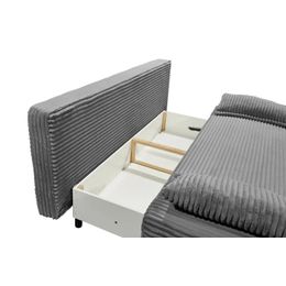 Ed Lifestyle Schlafsofa Sally Lux Anthrazit mit Bettkasten