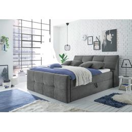 Ed Lifestyle Boxspringbett Redmond Dark Grey 180x200 cm