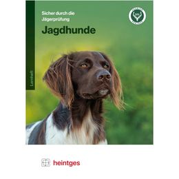 Heintges Sicher durch die J&auml;gerpr&uuml;fung &ndash; Jagdhunde Jagdhunde