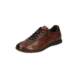 Bugatti Sneakers male Brown size 45