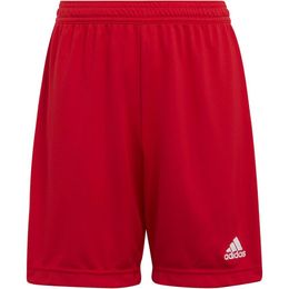 adidas Performance Workout Pants 'Entrada22' boy Red size 116
