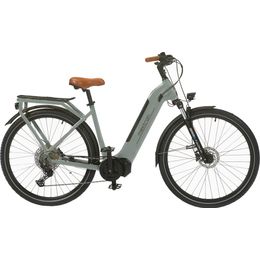 E-Bike MAXTRON "MTS-21X" Gr. 50, grau (grau, schwarz), Elektrofahrräder, 50cm, 28 Zoll (71,12cm)