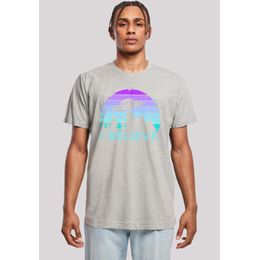 T-Shirt F4NT4STIC "I BELIEVE UFO Alien Raumschiff Retro", Herren, Gr. 3XL, grau (erdgrau), Obermaterial: 100% Baumwolle, regular fit, Rundhals, ohne Bündchen, Shirts, Premium Qualität