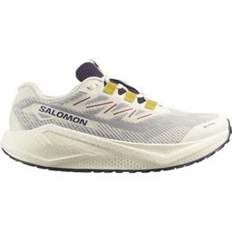 Salomon Aero Blaze 3 Gravel GTX Schuhe Herren beige 46.6