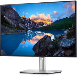 Bildschirm 24" LED HD Dell UltraSharp U2421E