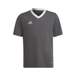 adidas Performance Funktionsshirt 'Entrada 22' Jungen Größe 152 graphit / weiß