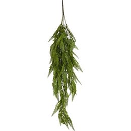 HEINE HOME Kunstpflanze ''Adiantum'' in Grün - (B)23 x (H)88 x (T)8 cm - 72% | Kerzen-vasen