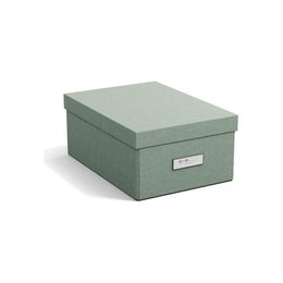 BIGsoBox Ordnungsbox in Grün - (B)22,5 x (H)13,5 x (T)31,5 cm - 10% | Kisten-koerbe