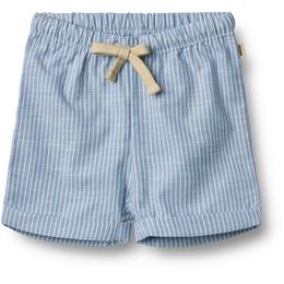Wheat Pants kids Blue size 68
