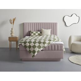 Boxbett HOMSY BY ANA JOHNSON "Moonio inkl. Bettkasten", grau, B:167cm L:214cm, Komplettbetten, erhältlich in verschiedenen Breiten und Härtegraden
