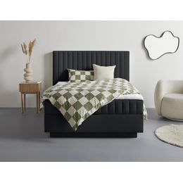 Boxbett HOMSY BY ANA JOHNSON "Moonio inkl. Bettkasten", anthrazit, B:167cm L:214cm, Komplettbetten, erhältlich in verschiedenen Breiten und Härtegraden