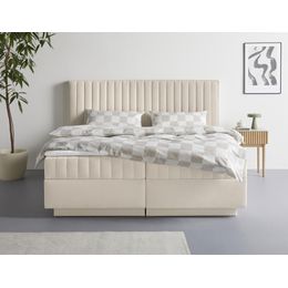 Boxbett HOMSY BY ANA JOHNSON "Moonio inkl. Bettkasten", creme, B:227cm L:214cm, Komplettbetten, erhältlich in verschiedenen Breiten und Härtegraden