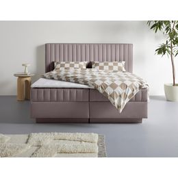 Boxbett HOMSY BY ANA JOHNSON "Moonio inkl. Bettkasten", grau, B:187cm L:214cm, Komplettbetten, erhältlich in verschiedenen Breiten und Härtegraden