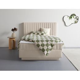 Boxbett HOMSY BY ANA JOHNSON "Moonio inkl. Bettkasten", creme, B:167cm L:214cm, Komplettbetten, erhältlich in verschiedenen Breiten und Härtegraden