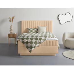 Boxbett HOMSY BY ANA JOHNSON "Moonio inkl. Bettkasten", beige, B:167cm L:214cm, Komplettbetten, erhältlich in verschiedenen Breiten und Härtegraden