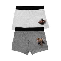 2er Pack Jurassic World Boxershorts - Unterwäsche Unterhose Boxer in grau | Gr.: 110/116