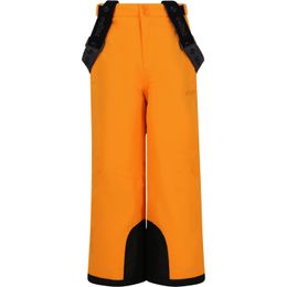 Skihose ZIGZAG "Provo", Mädchen, Gr. 116, EURO-Größen, braun, 100% Polyester, unifarben, lang, Hosen, mit 10.000 mm Wassersäule