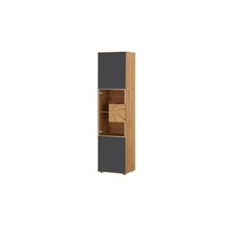 Hartmann Vitrine Caya &brvbar; grau &brvbar; Ma&szlig;e (cm): B: 50 H: 196 T: 39.0 &raquo; H&ouml;ffner