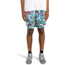 Element Shorts »Chillin Hybrid« Rivers Blue S S Material: Taslan-Stoff aus Nylon und...