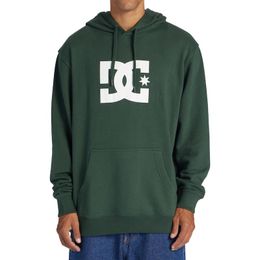 DC Shoes Kapuzensweatshirt »DC Star« Sycamore L L Material: Mittelschweres French Terry aus...
