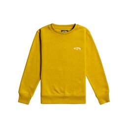 Billabong Sweatshirt »Arch« Amber 16(165-172cm) 16(165-172cm) Material: Doppelt gefärbter Fleece aus einem...
