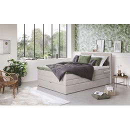 Boxspringbett COTTA "Shark inkl. Bettkasten und Topper", grau (elephant), B:146cm L:212cm, 100% POLYESTER (PES), Komplettbetten, erhältlich in den Breiten 140x200cm, 160x200cm und 180x200cm, Topseller